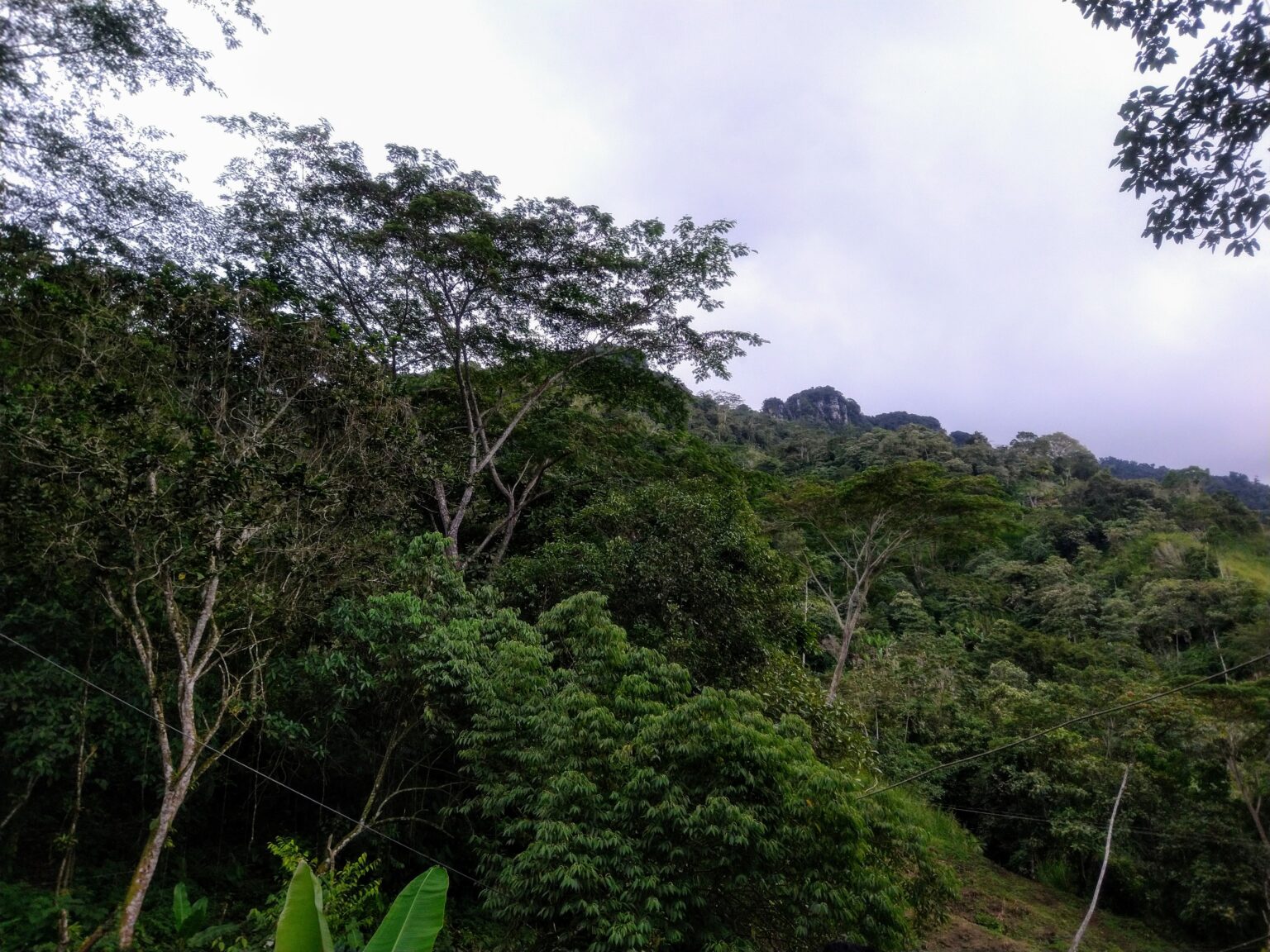 Emeralds of Colombia: The Most Beautiful Gemstones in the World ...